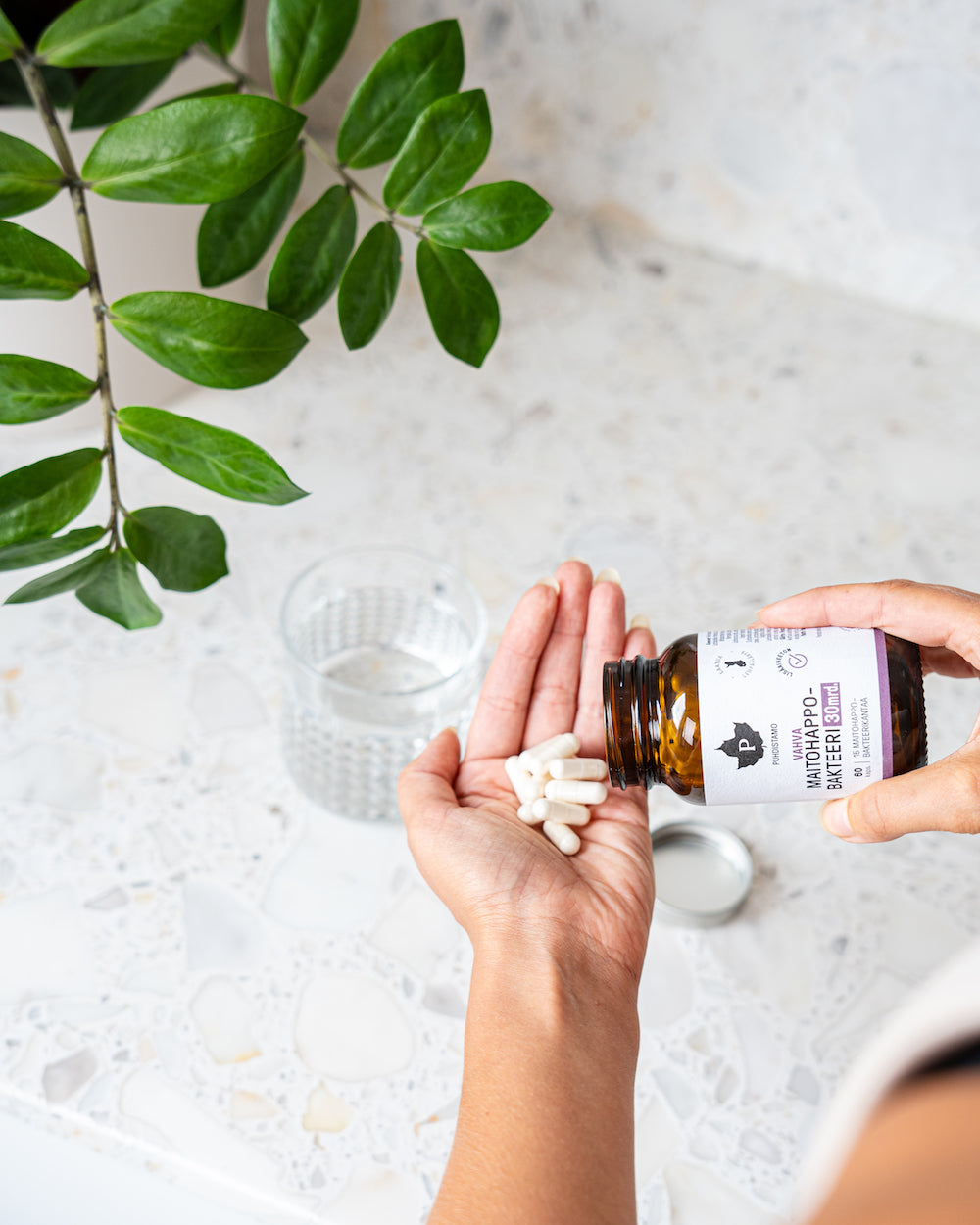 Puhdistamo Vahva Maitohappobakteeri | 15 bakteerikantaa 🙏